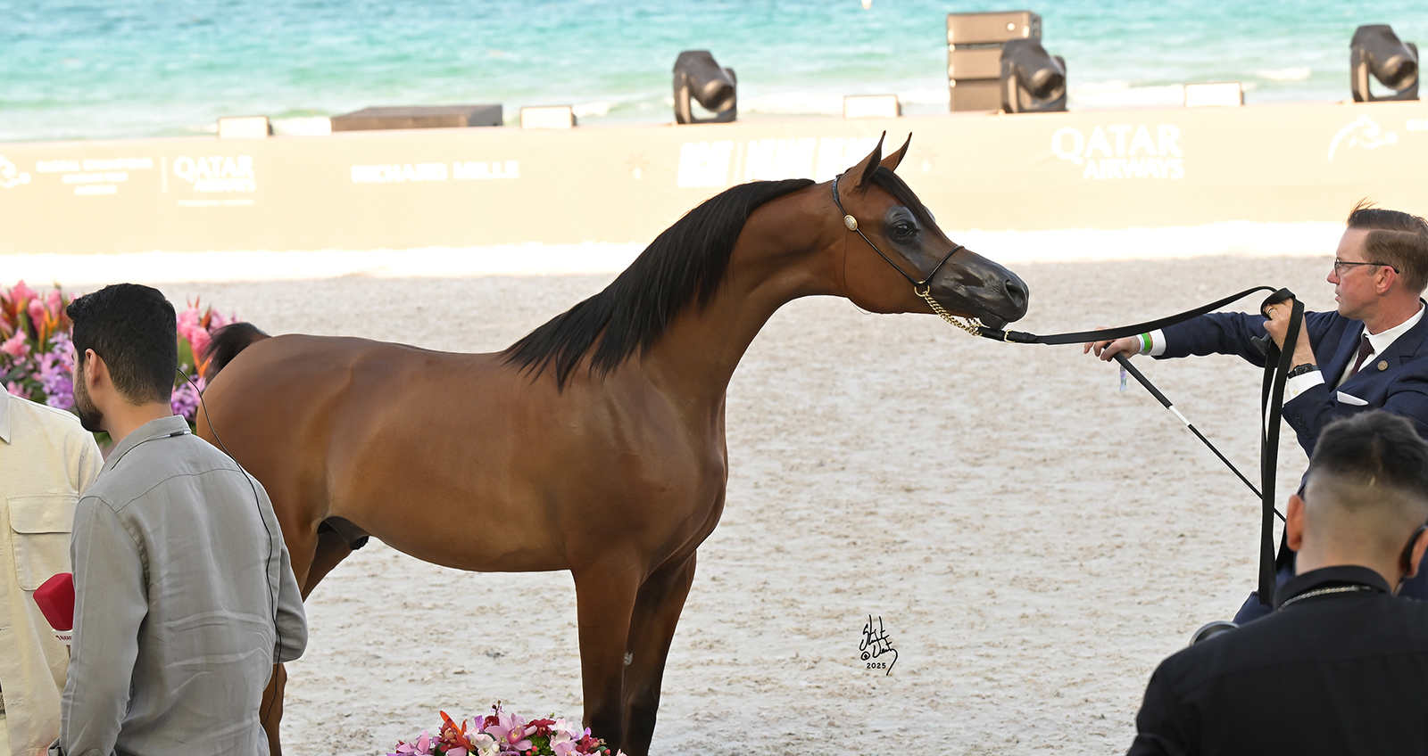 Masarat - Orrion Farms