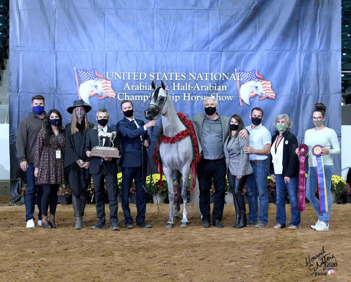 Show Results - Orrion Farms